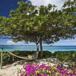 Beachcomber - BVI Villa Rental – Luxury Vacation Rentals